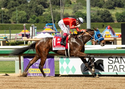 Chatalas - Horse Profile - BloodHorse