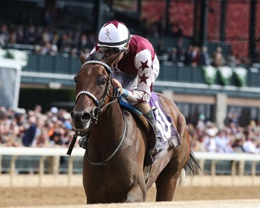 Thorpedo Anna - Horse Profile - BloodHorse