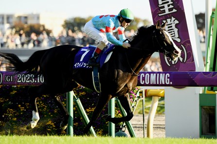 Equinox (JPN) - Horse Profile - BloodHorse