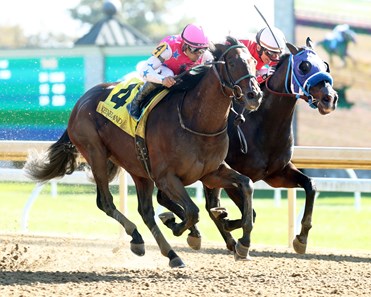 Raise Cain - Horse Profile - BloodHorse