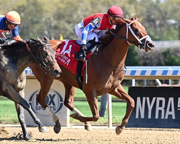 Caress - Horse Profile - BloodHorse