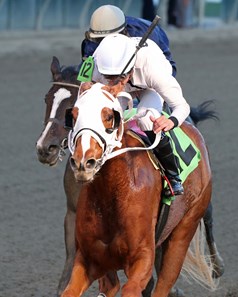 One Red Cent - Horse Profile - BloodHorse