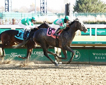 Archie the Giza - Horse Profile - BloodHorse