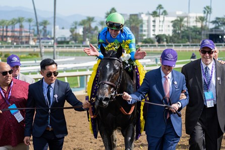 Goodnight Olive - Horse Profile - BloodHorse