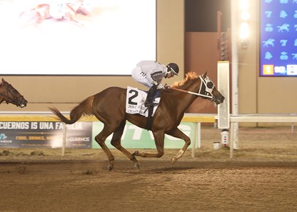 Chasin Jason - Horse Profile - BloodHorse