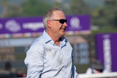 White Abarrio - Horse Profile - BloodHorse