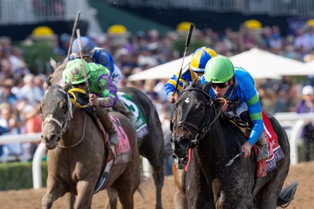 Goodnight Olive - Horse Profile - BloodHorse
