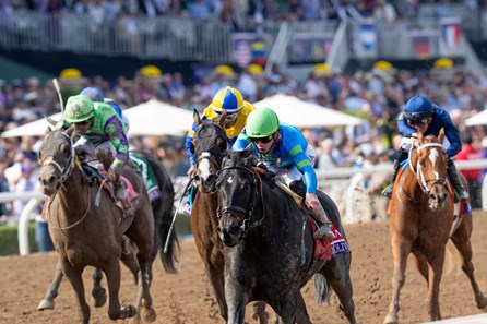 Goodnight Olive - Horse Profile - BloodHorse