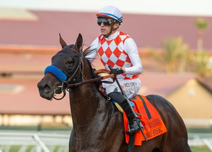 Mr Fisk - Horse Profile - BloodHorse