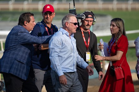 White Abarrio - Horse Profile - BloodHorse