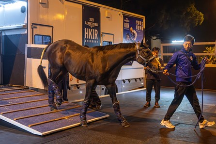 Soul Rush (JPN) - Horse Profile - BloodHorse