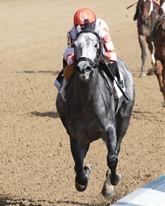 Steel Racer - Horse Profile - BloodHorse