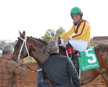 American Rascal - Horse Profile - BloodHorse