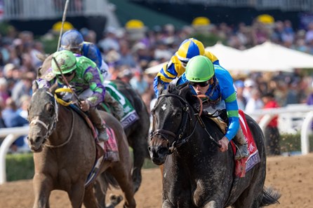 Goodnight Olive - Horse Profile - BloodHorse