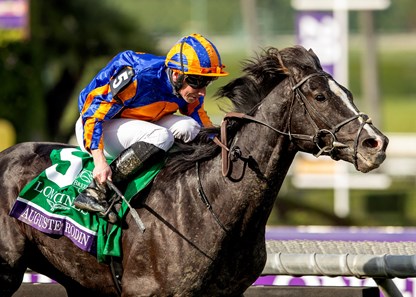 Auguste Rodin (IRE) - Horse Profile - BloodHorse