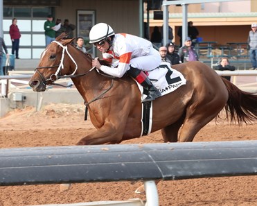 Topsy - Horse Profile - BloodHorse