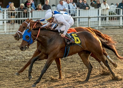 Mangum - Horse Profile - BloodHorse