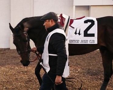 Honor Marie - Horse Profile - BloodHorse
