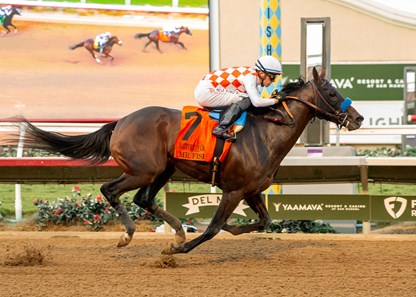 Mr Fisk - Horse Profile - BloodHorse