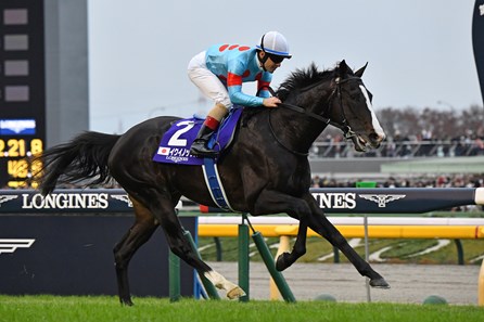 Equinox (JPN) - Horse Profile - BloodHorse
