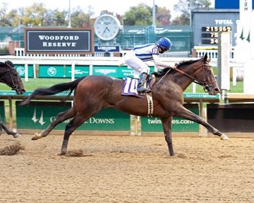 Parchment Party - Horse Profile - BloodHorse
