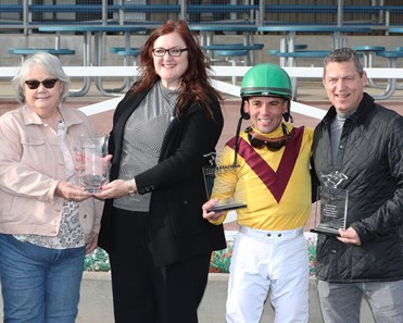 American Rascal - Horse Profile - BloodHorse