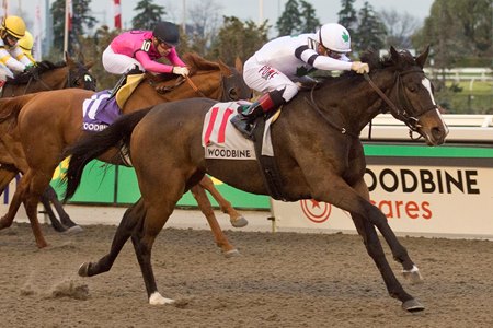 Resolute Snags Millie Girl at F-T December Digital Sale - BloodHorse