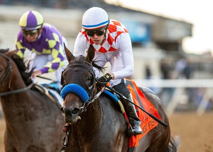 Mr Fisk - Horse Profile - BloodHorse