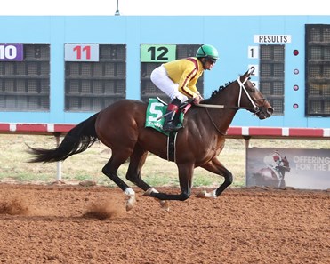 American Rascal - Horse Profile - BloodHorse