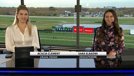 Stakes Preview: Red Smith and Pebbles - Video - - BloodHorse