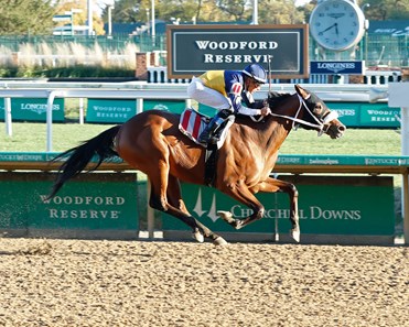 Capo - Horse Profile - BloodHorse