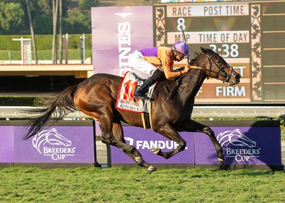 Ruby Nell - Horse Profile - BloodHorse