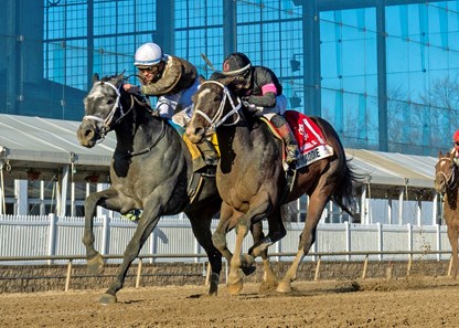 Post Time - Horse Profile - BloodHorse