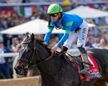 Goodnight Olive - Horse Profile - BloodHorse