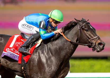 Goodnight Olive - Horse Profile - BloodHorse