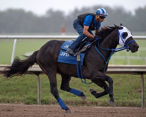 Bentornato Seeking First 2024 Win in Gallant Bob - BloodHorse