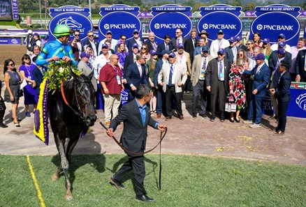 Goodnight Olive - Horse Profile - BloodHorse