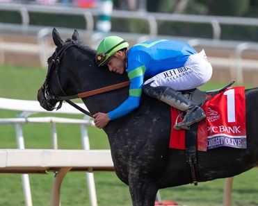 Goodnight Olive - Horse Profile - BloodHorse