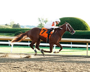Booth - Horse Profile - BloodHorse