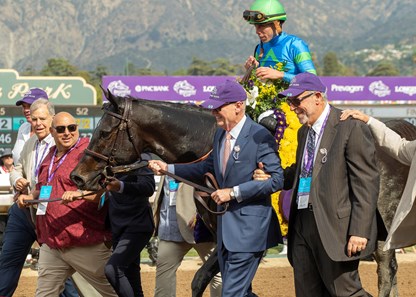 Goodnight Olive - Horse Profile - BloodHorse