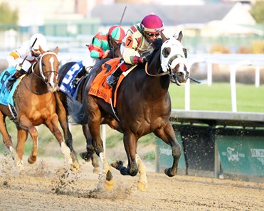 Just Steel - Horse Profile - BloodHorse