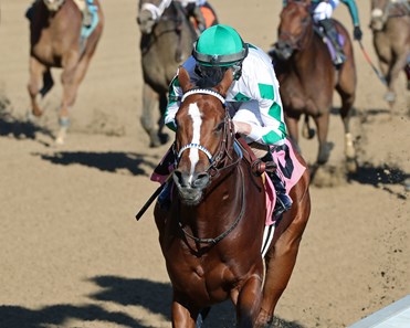 Mystik Dan - Horse Profile - BloodHorse