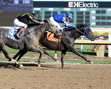 Pass Line - Horse Profile - BloodHorse