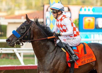 Mr Fisk - Horse Profile - BloodHorse