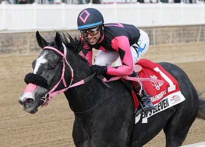 Seven's Eleven - Horse Profile - BloodHorse