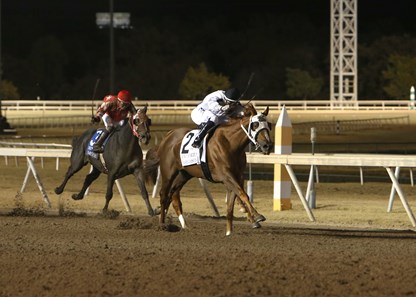 Chasin Jason - Horse Profile - BloodHorse