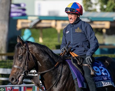 Starlust (GB) - Horse Profile - BloodHorse