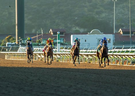 Field Size Down Midway Through Del Mar Fall Meet - BloodHorse