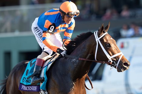 A Stronger Fierceness On Track for Holy Bull - BloodHorse