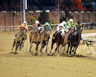 Honor Marie - Horse Profile - BloodHorse